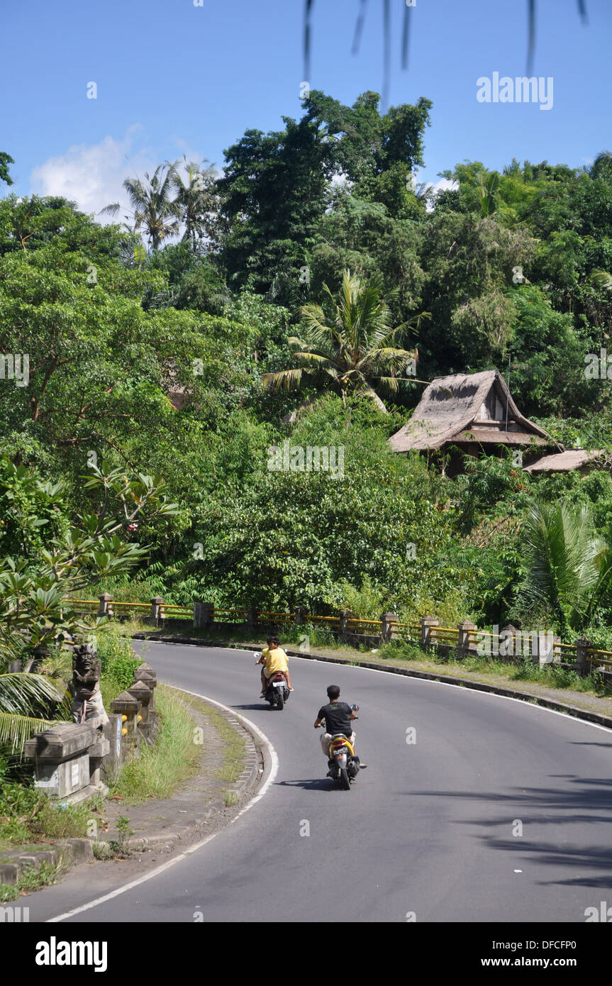 Ubud (Bali, Indonesia): the road to Sayan Stock Photo - Alamy
