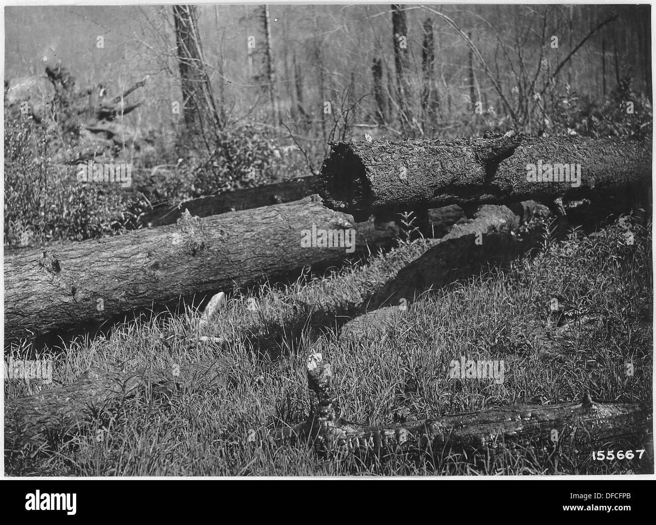 This historical image depicts the Breitenbush Burn area in Detroit ...