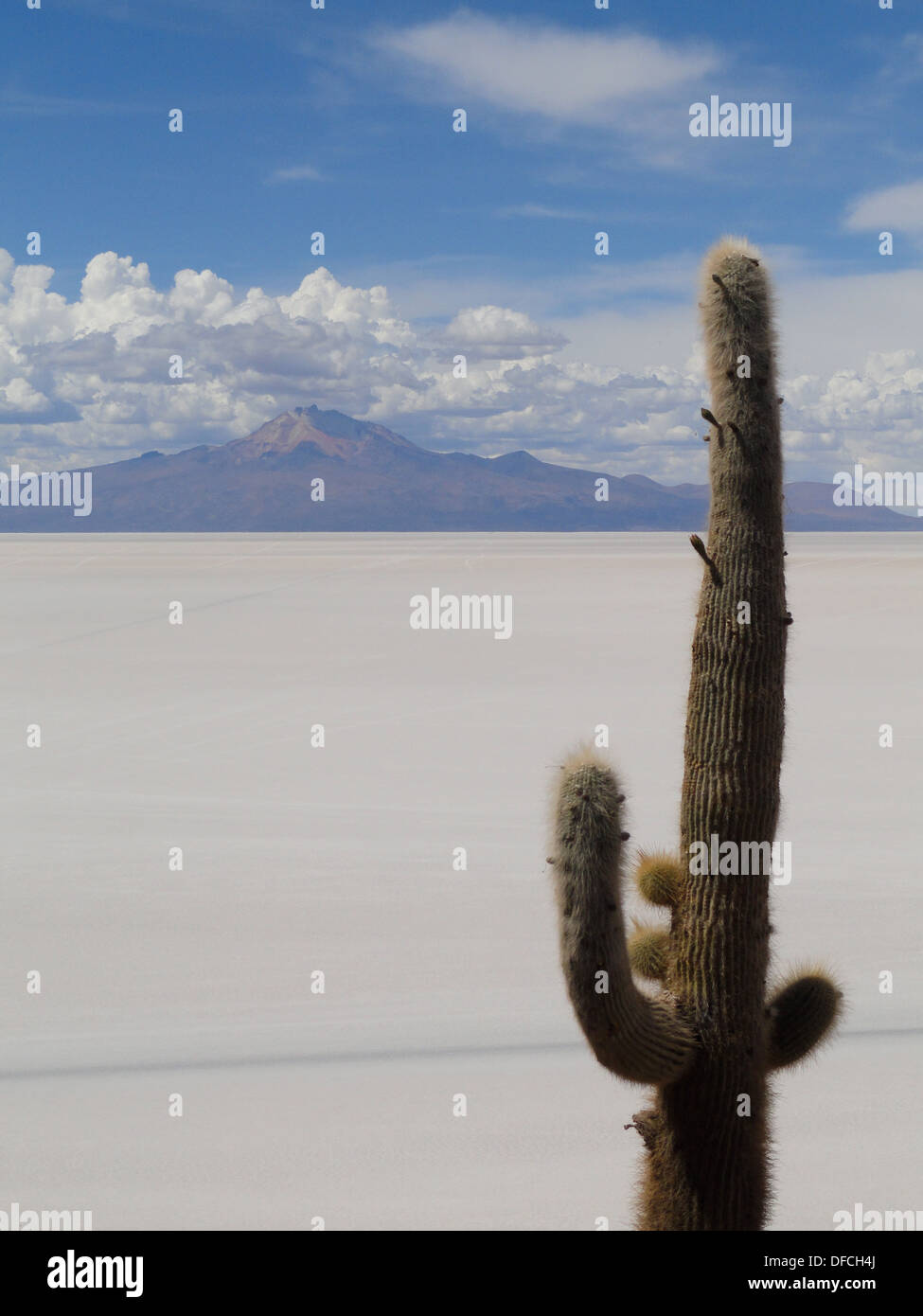 The Tunupa Volcano dominates the skyline looking across the salt flats ...