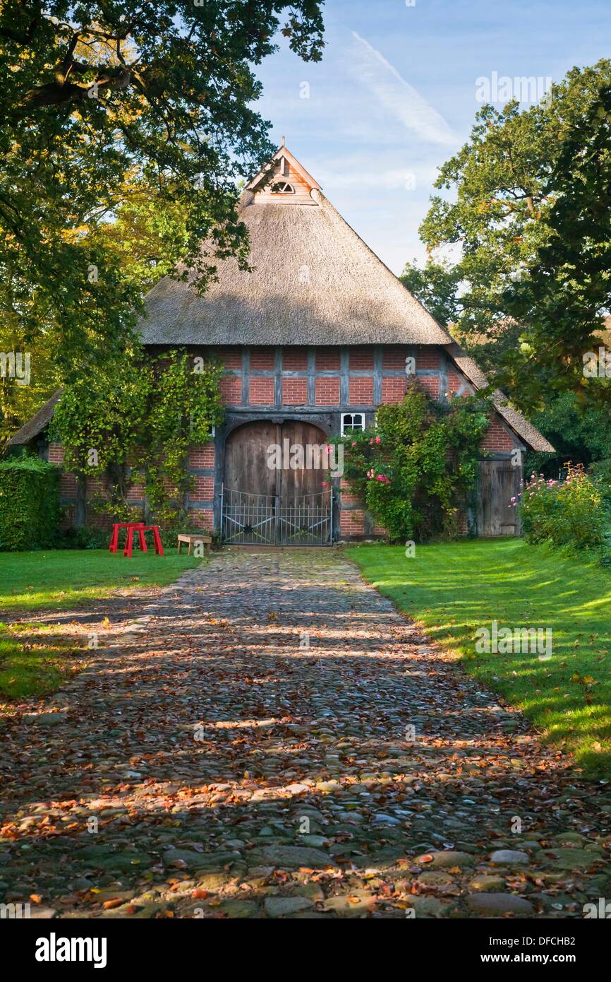 Typical architecture thatched roof construction hi-res stock ...