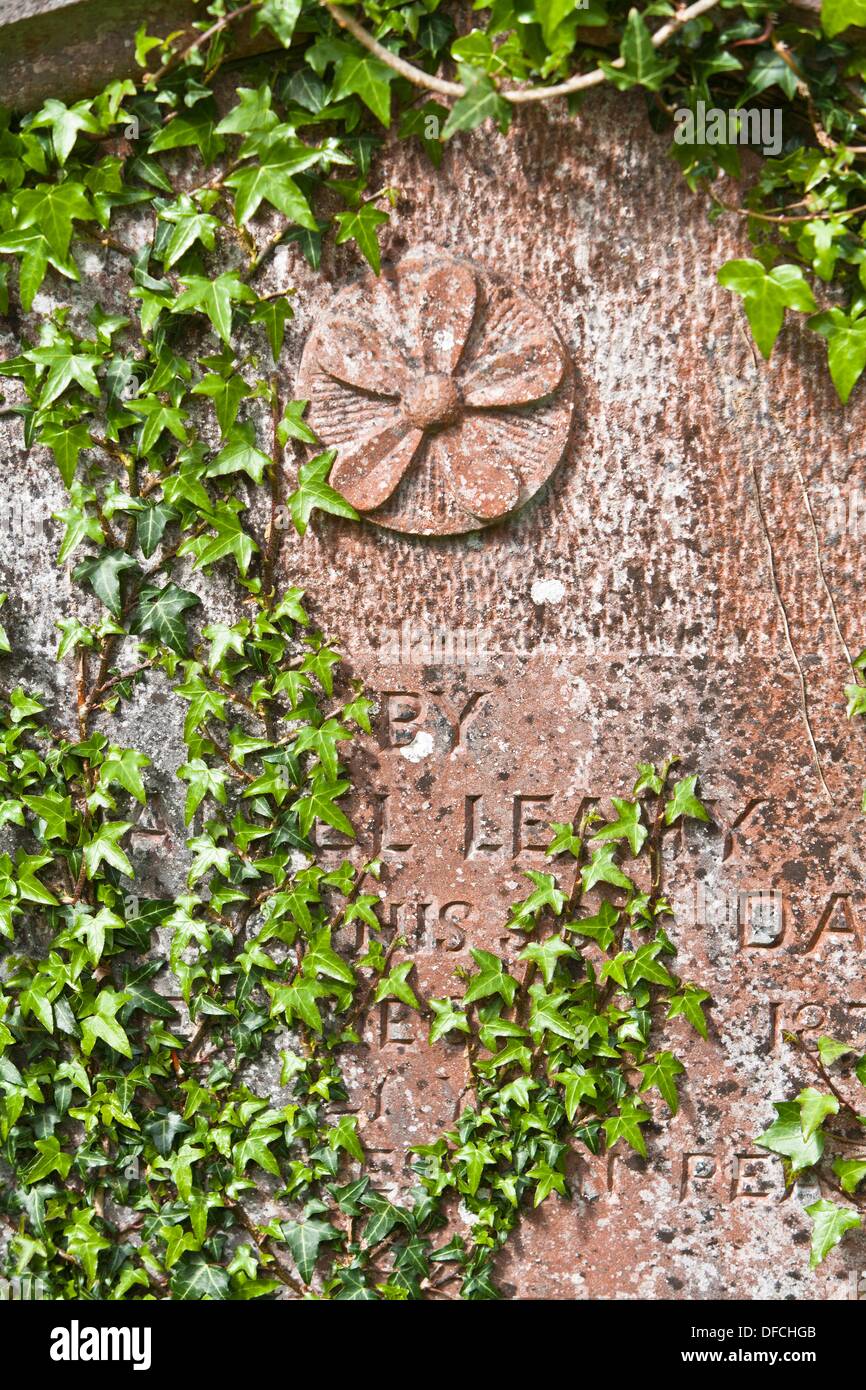Overgrown gravestone hi-res stock photography and images - Alamy