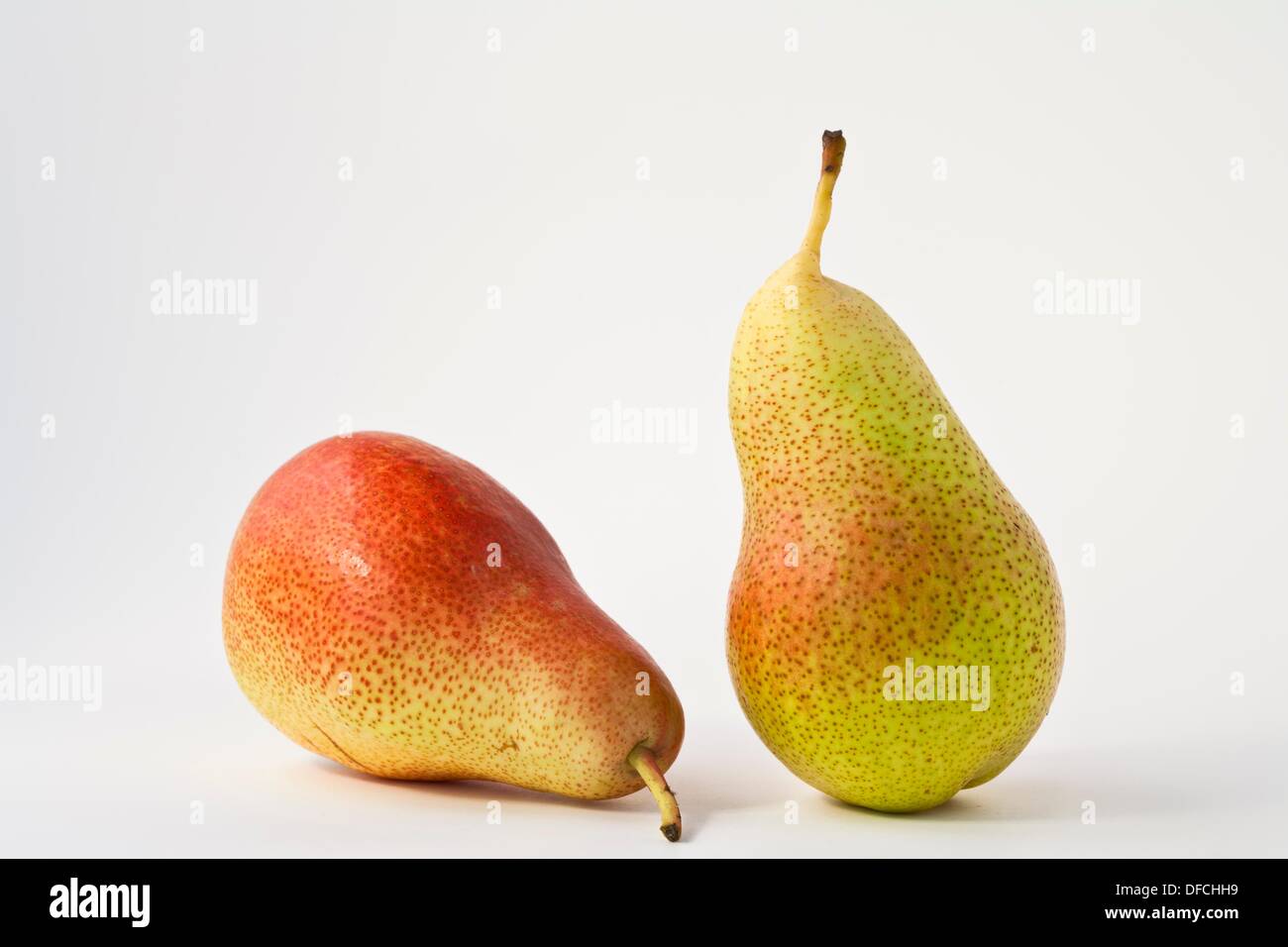 Two red and yellow pears Stock Photo - Alamy Two red and yellow pears Stock Photo - Alamy