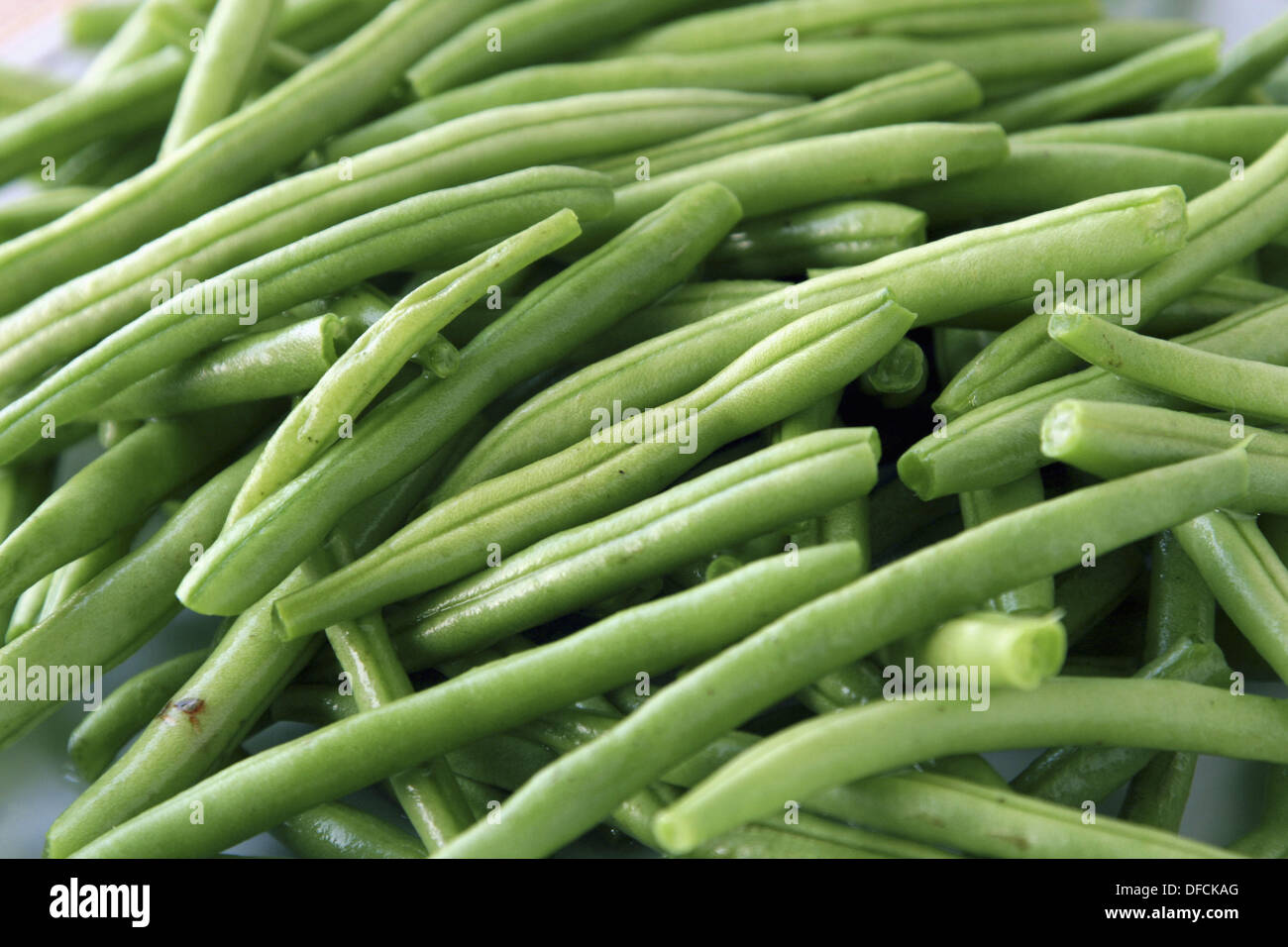Common bean phaseolus fresh beans hi-res stock photography and images ...