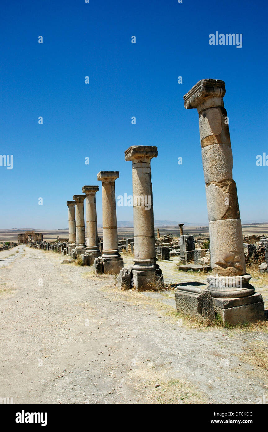 Columns along main road in hi-res stock photography and images - Alamy