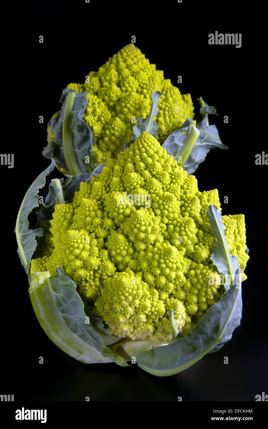 Roman cabbage, food Stock Photo - Alamy