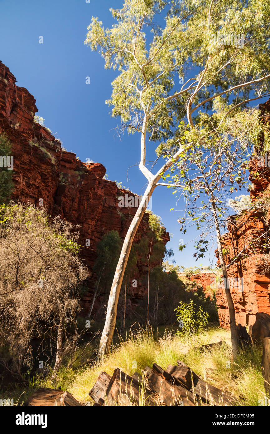Hancock gorge, karijini national park hi-res stock photography and ...