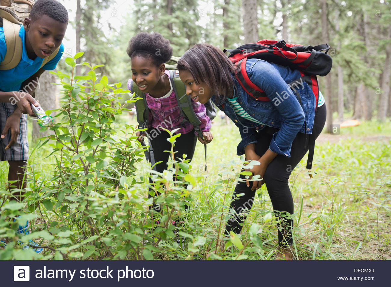 Vacations people plants nature hi-res stock photography and images - Alamy