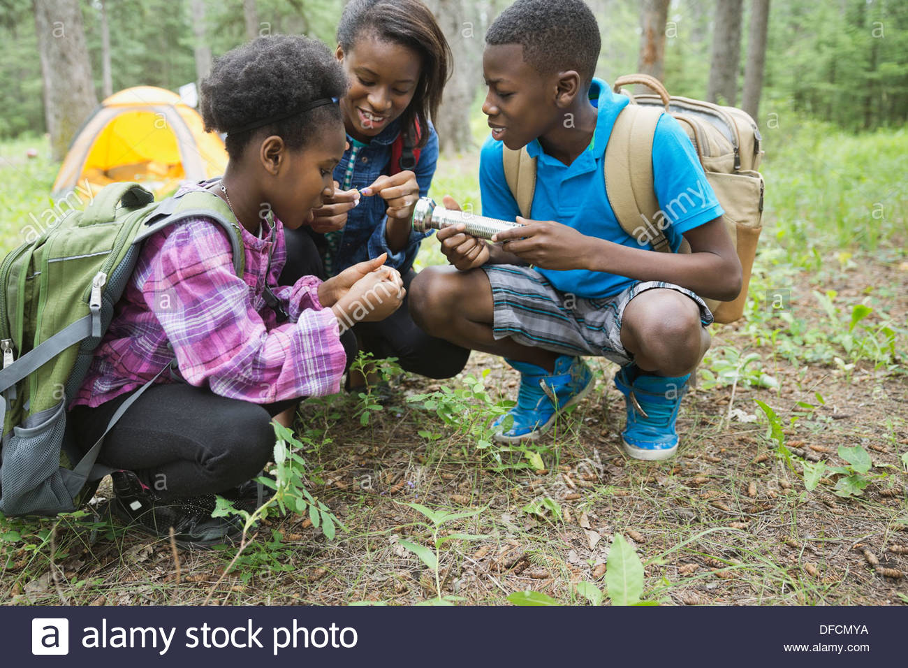 Siblings exploring forest together hi-res stock photography and images ...