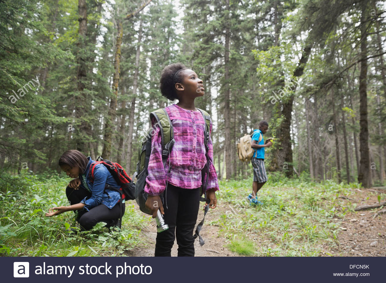 Boys in the forest hi-res stock photography and images - Alamy