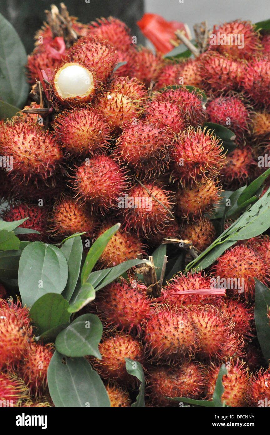 Travel lychees hi-res stock photography and images - Alamy
