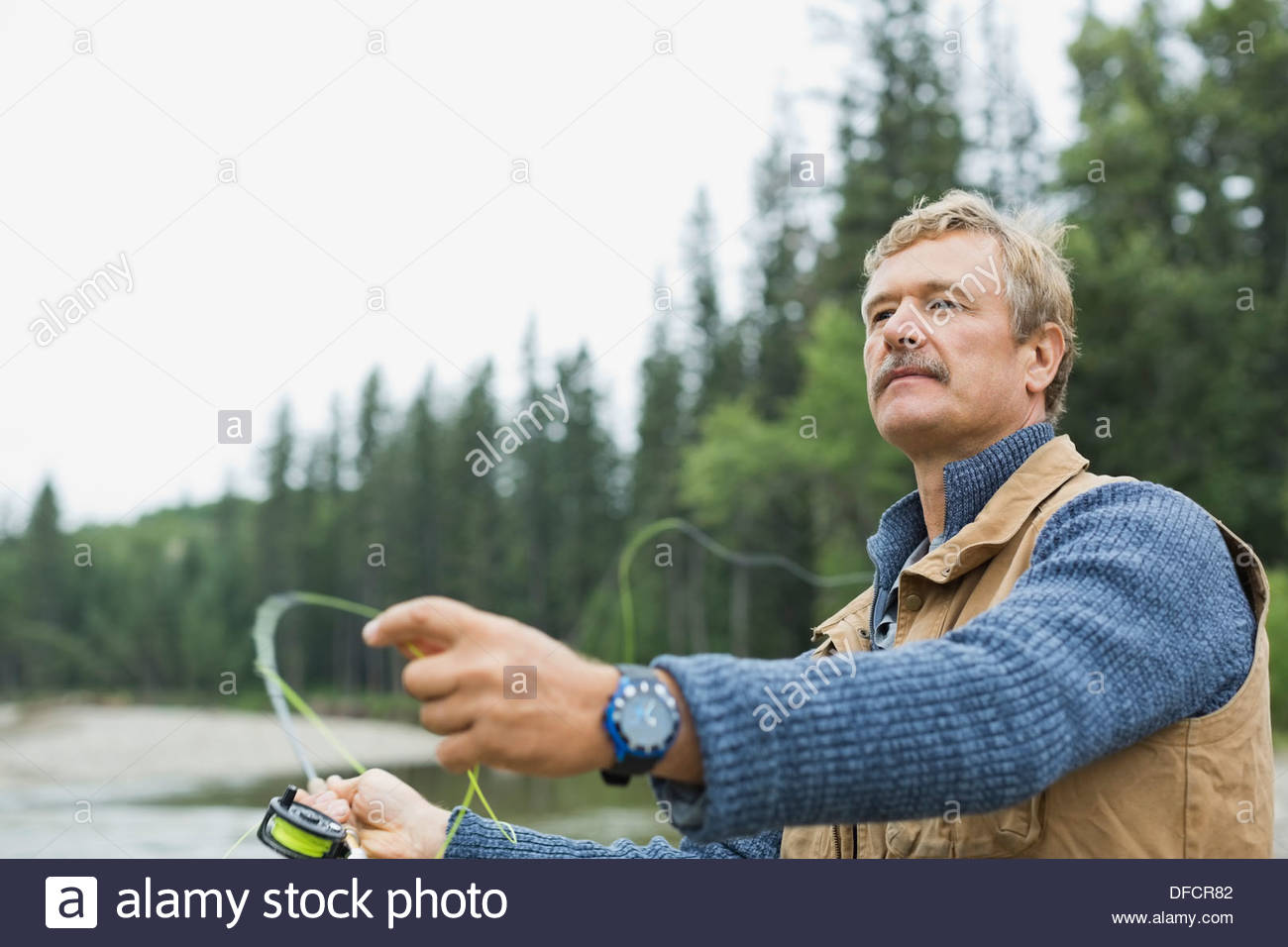Mature fly hi-res stock photography and images - Alamy