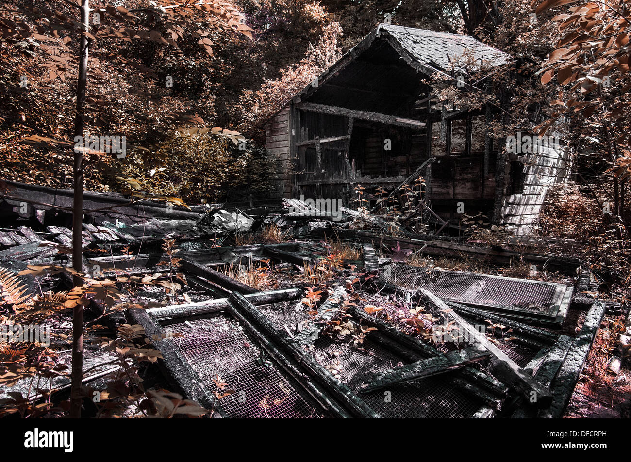 Fire damaged shed Stock Photo - Alamy