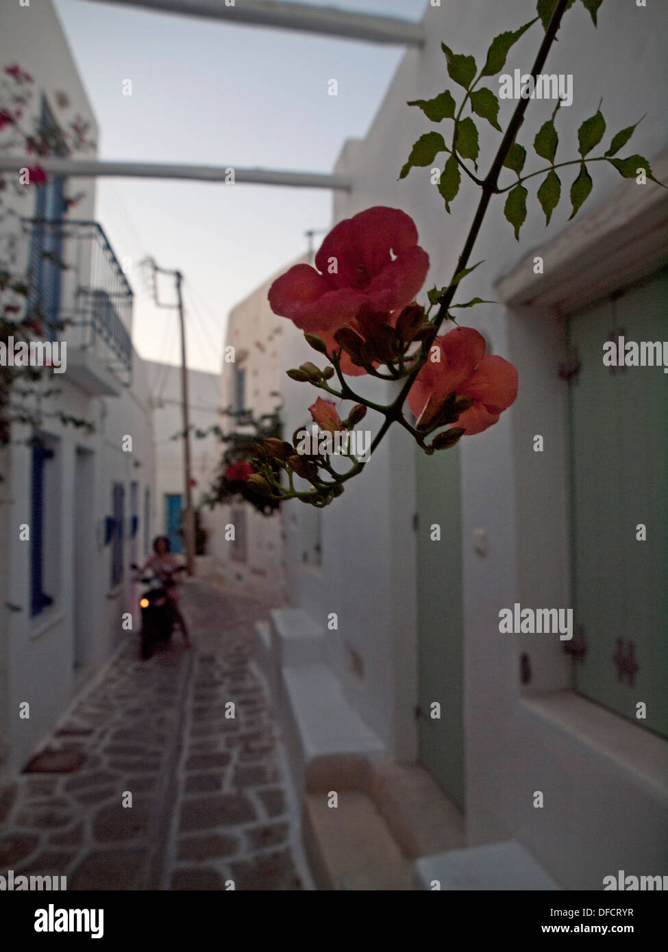 The pretty little back-streets of Parikia on the Greek island of Paros ...