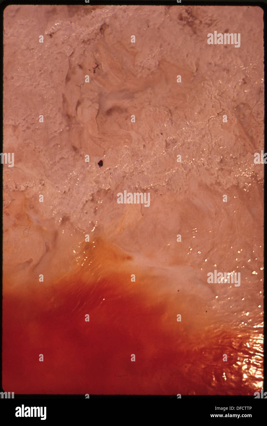 The image depicts contaminated water in a drainage ditch located behind ...