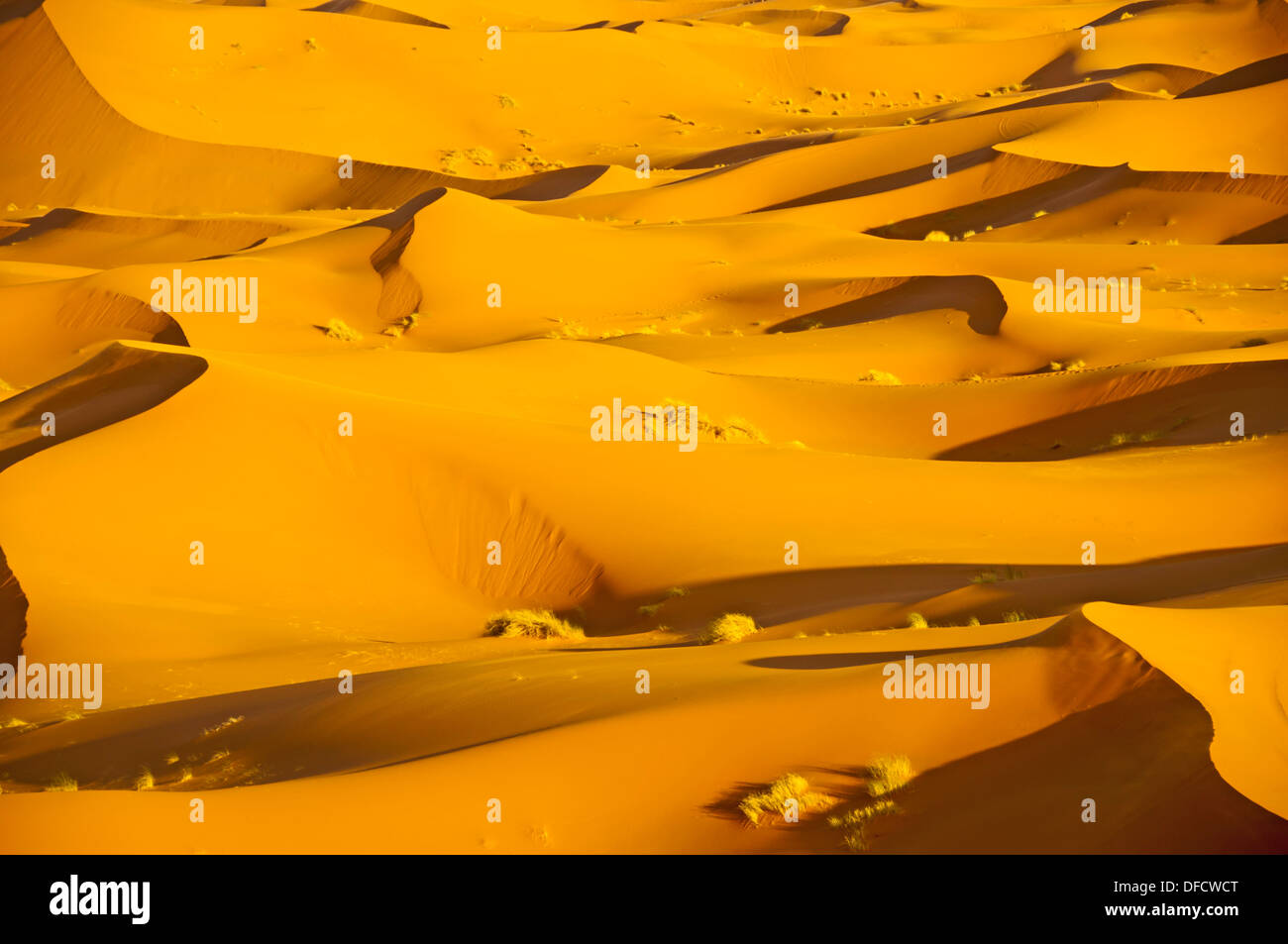 Africa, Morocco, View of Erg Chebbi dunes Stock Photo - Alamy