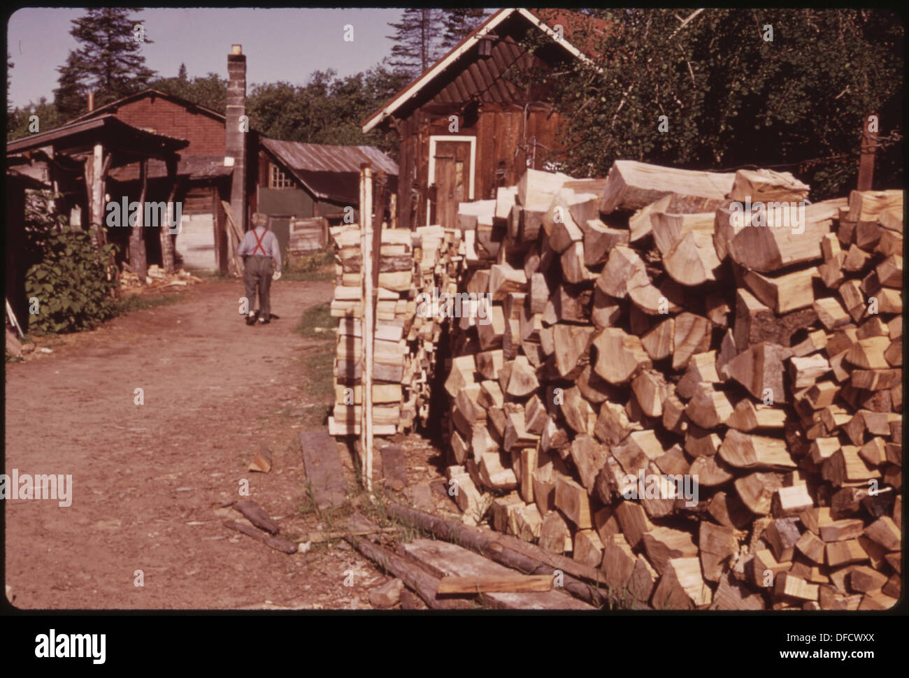Cull logs are stacked for sale at Big Moose, indicating the commercial ...