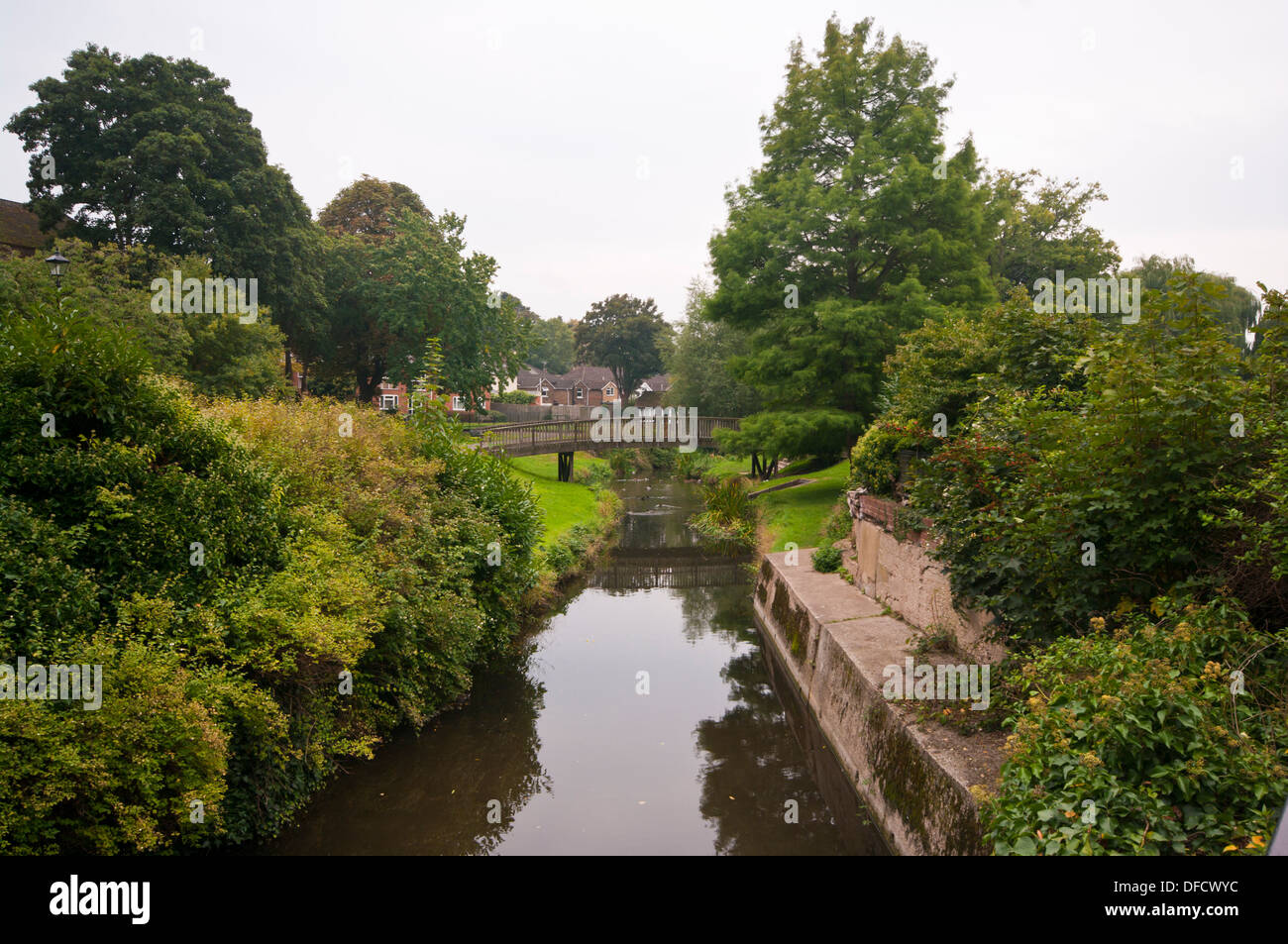 The River Wey at farnham Surrey England UK Stock Photo - Alamy