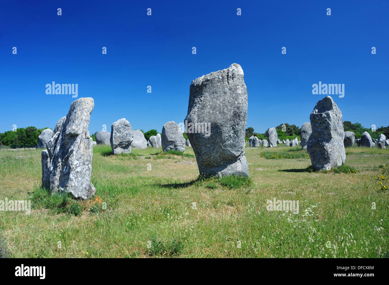 stones of carnac Stock Photo - Alamy