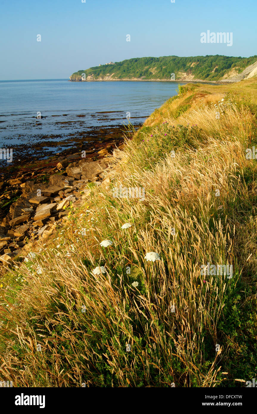 UK,Dorset,Swanage,Durlston Head viewed from South West Coast Path at ...