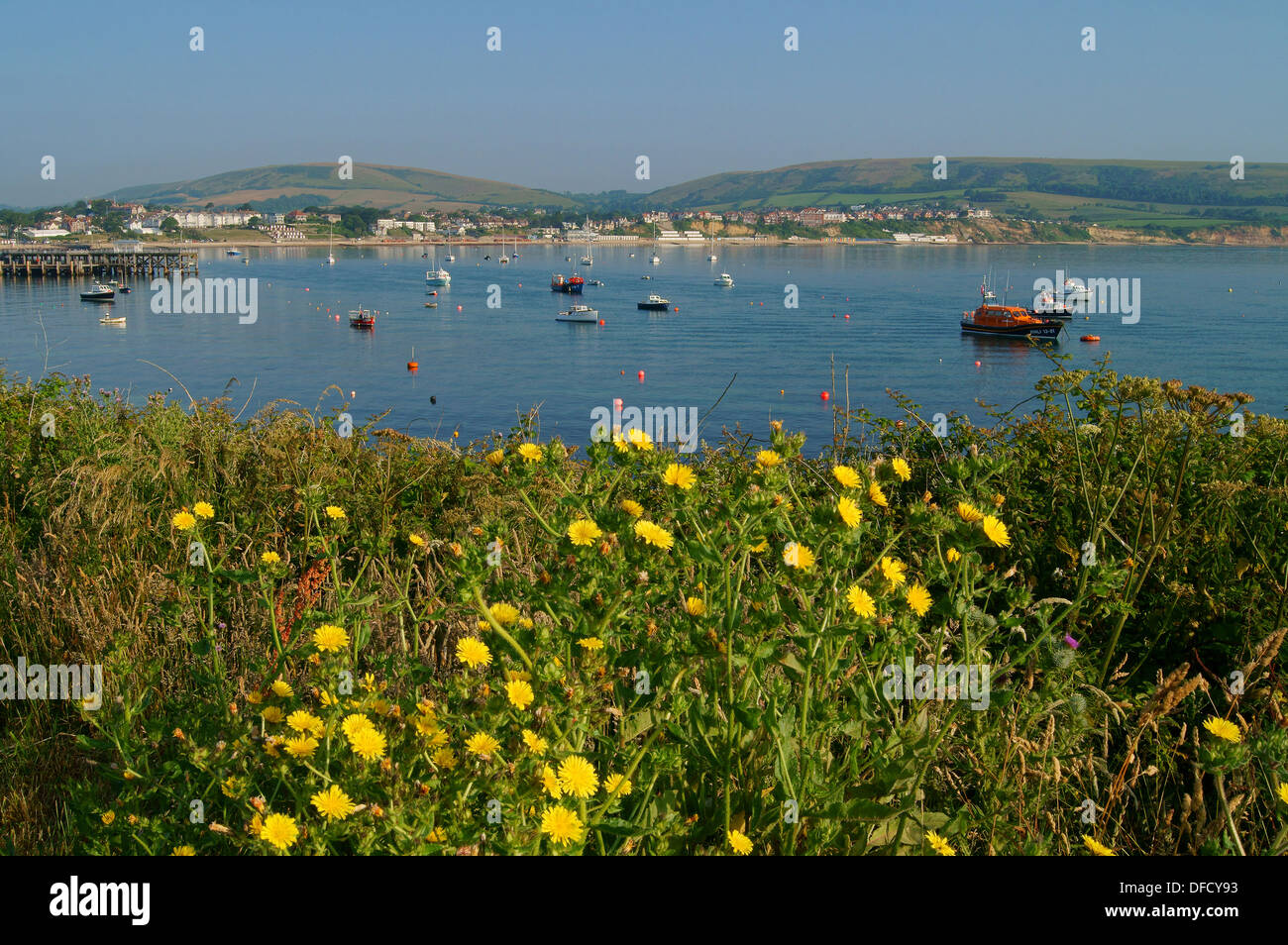 UK,Dorset,Swanage & Swanage Bay viewed from Peveril Point Stock Photo ...