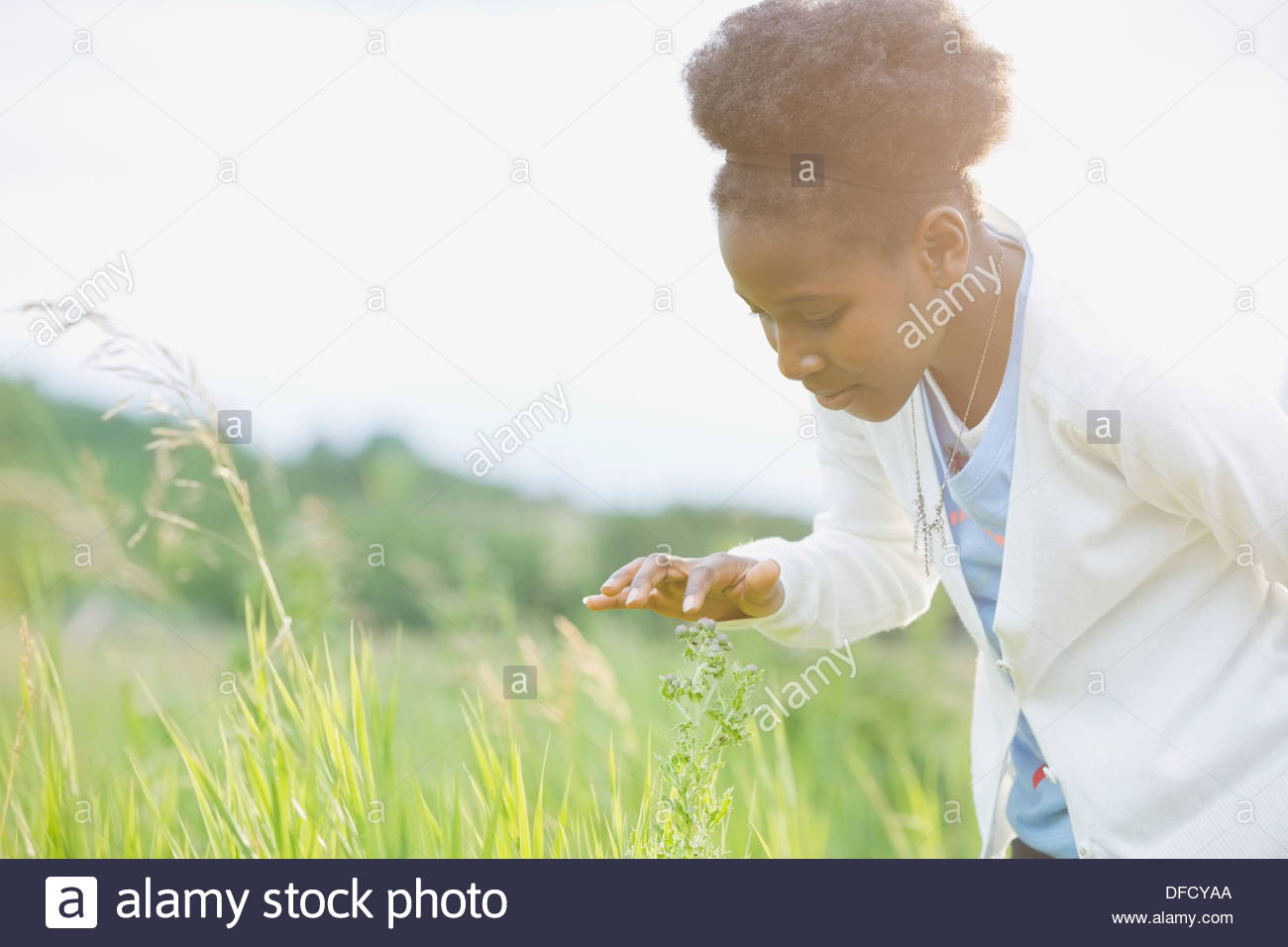 Girl touching grass hi-res stock photography and images - Alamy