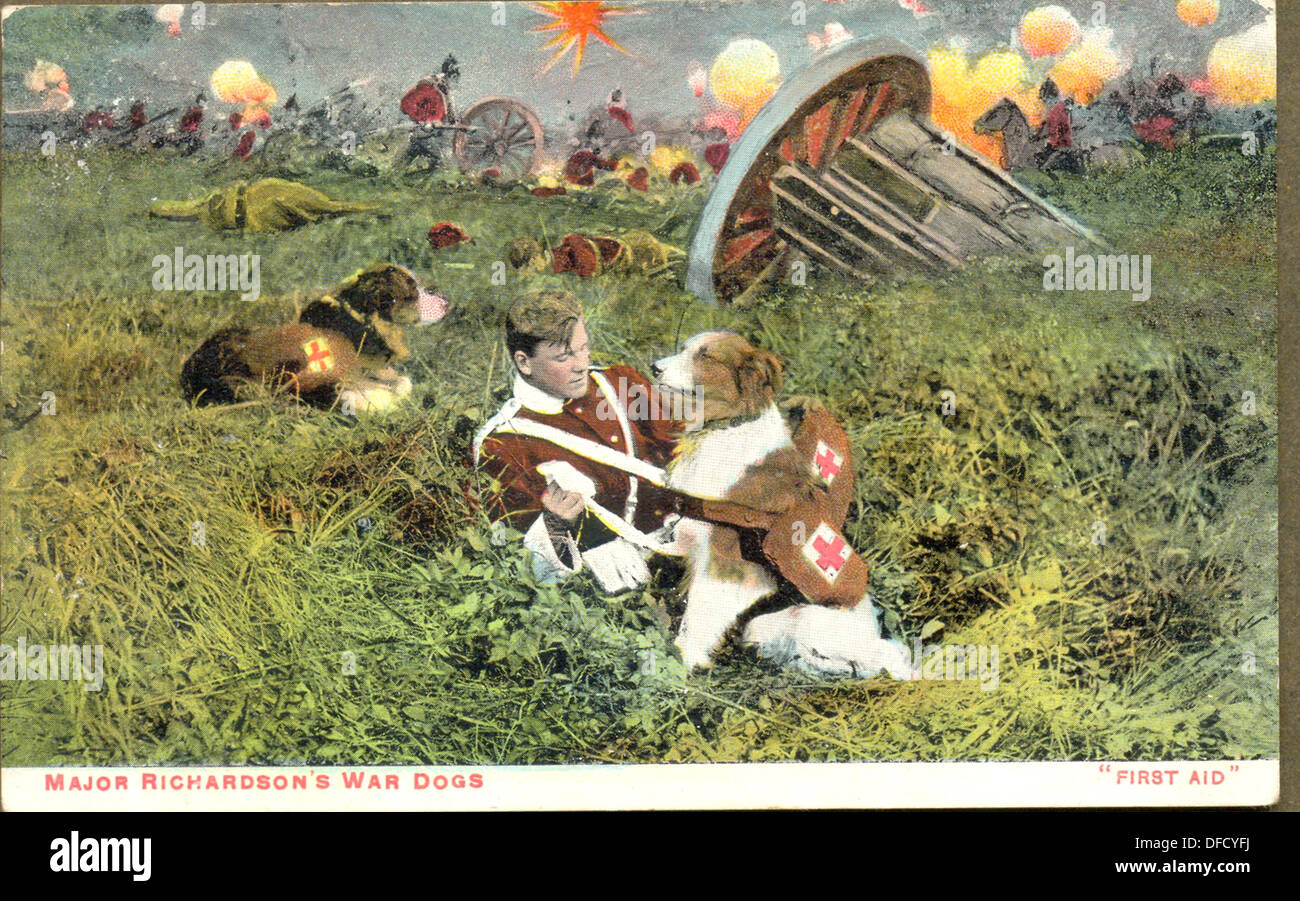 World War One postcard of Major Richardson's War Dogs offering First ...