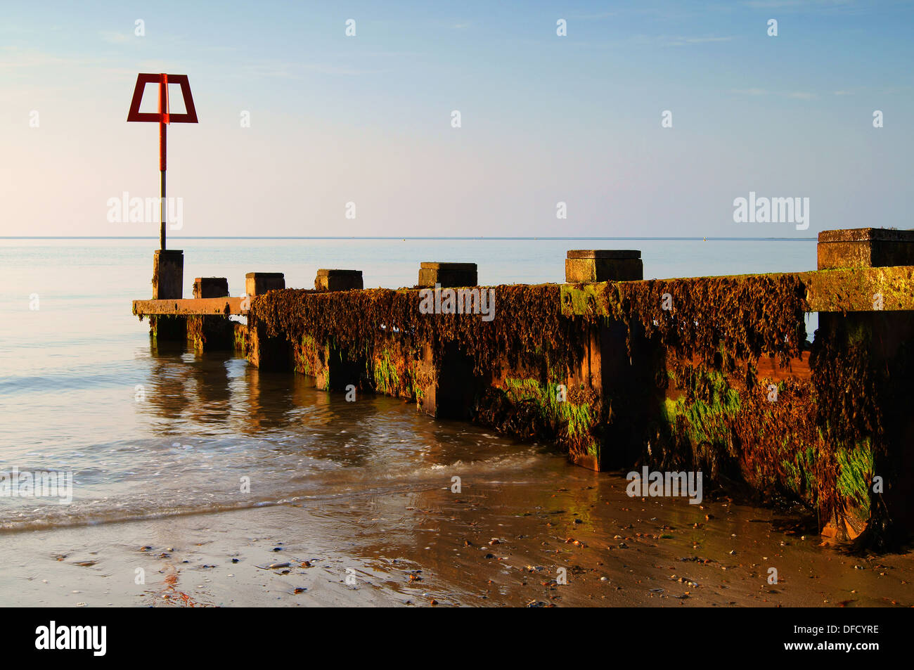 UK, Dorset, Swanage, Jurassic Coast, groynes and high tide marker on ...