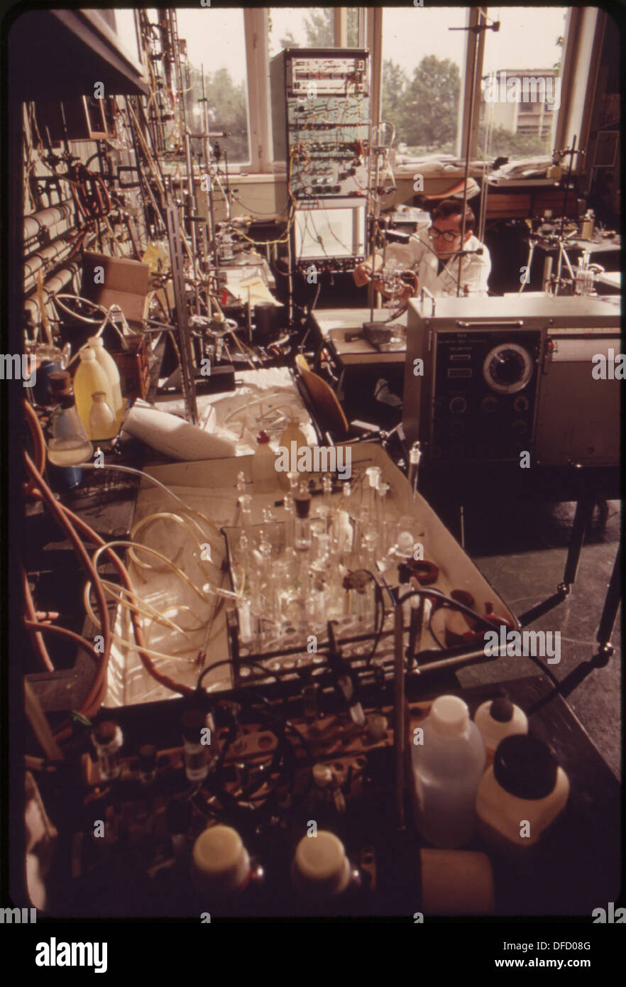 Dr. Bozena Cosovic is researching enzyme absorption on mercury at the ...