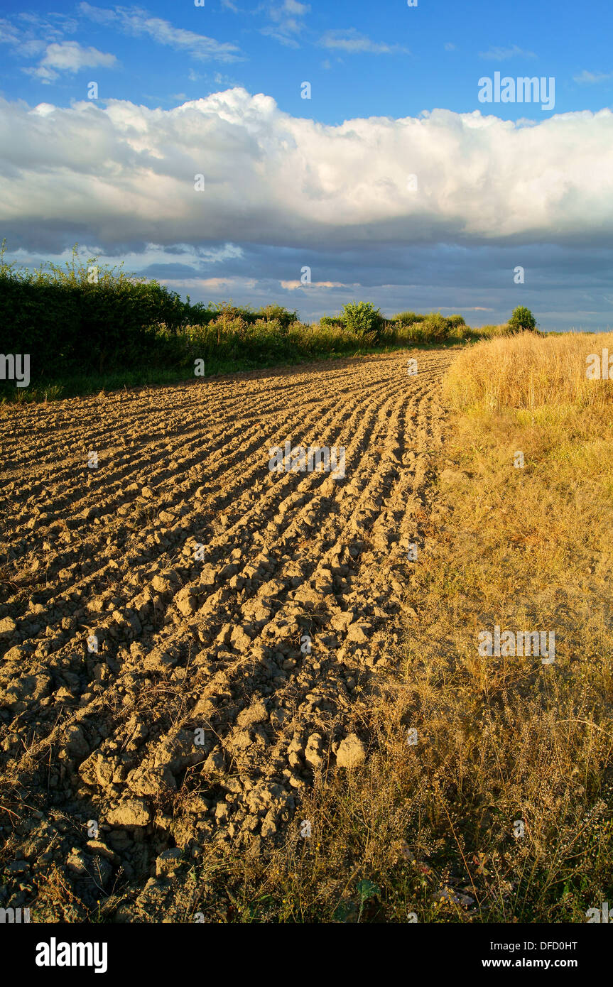 Penny hill wind farm hi-res stock photography and images - Alamy