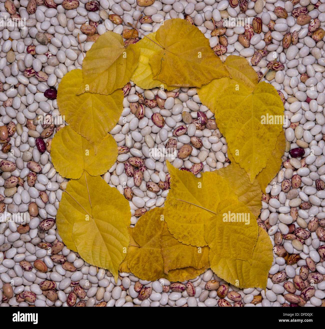 Kidney font hi-res stock photography and images - Alamy