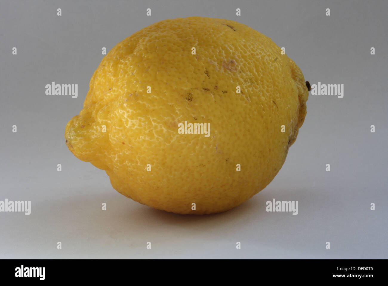 A single lemon on a white background Stock Photo - Alamy