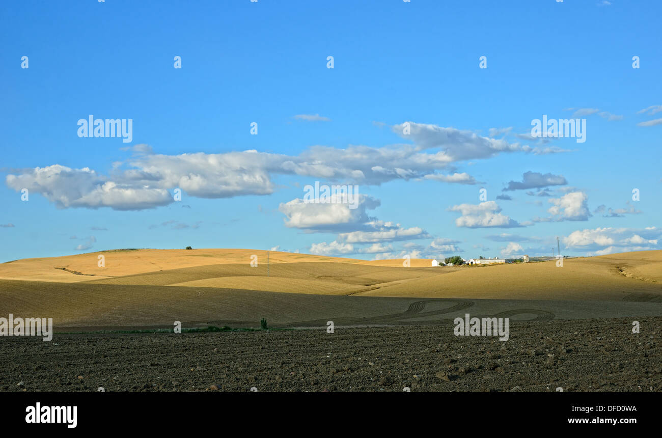 Spanish country landscape in spring Stock Photo - Alamy