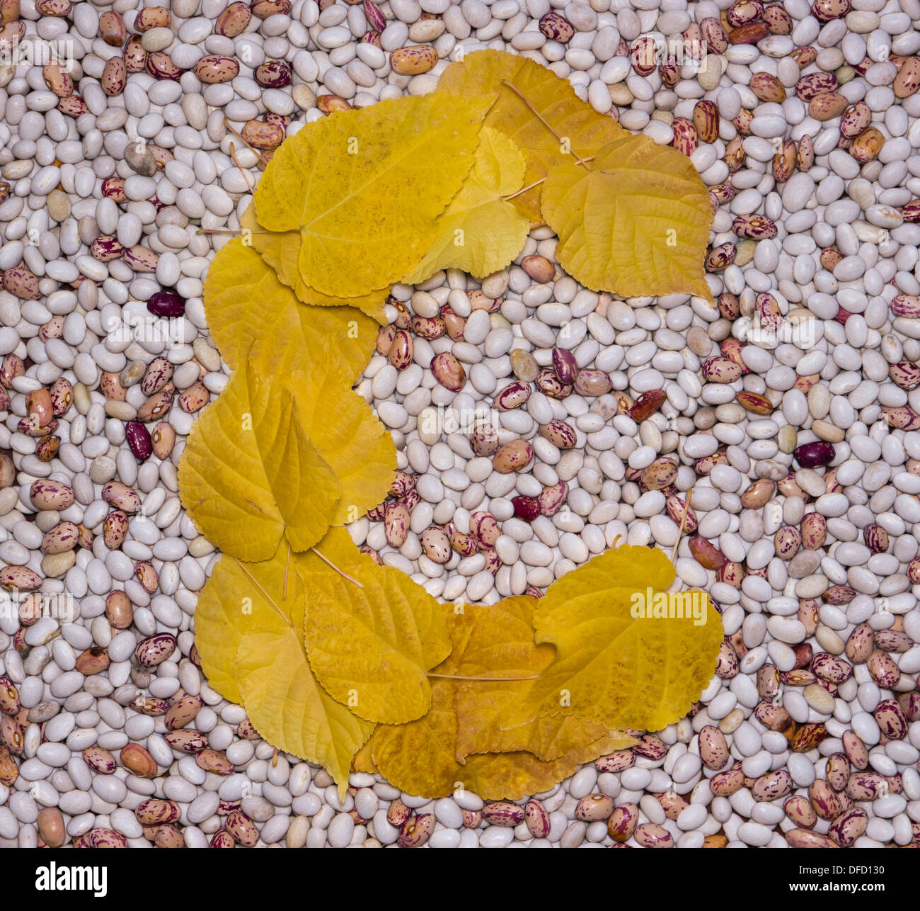 Letter C. Leaf and beans Stock Photo - Alamy
