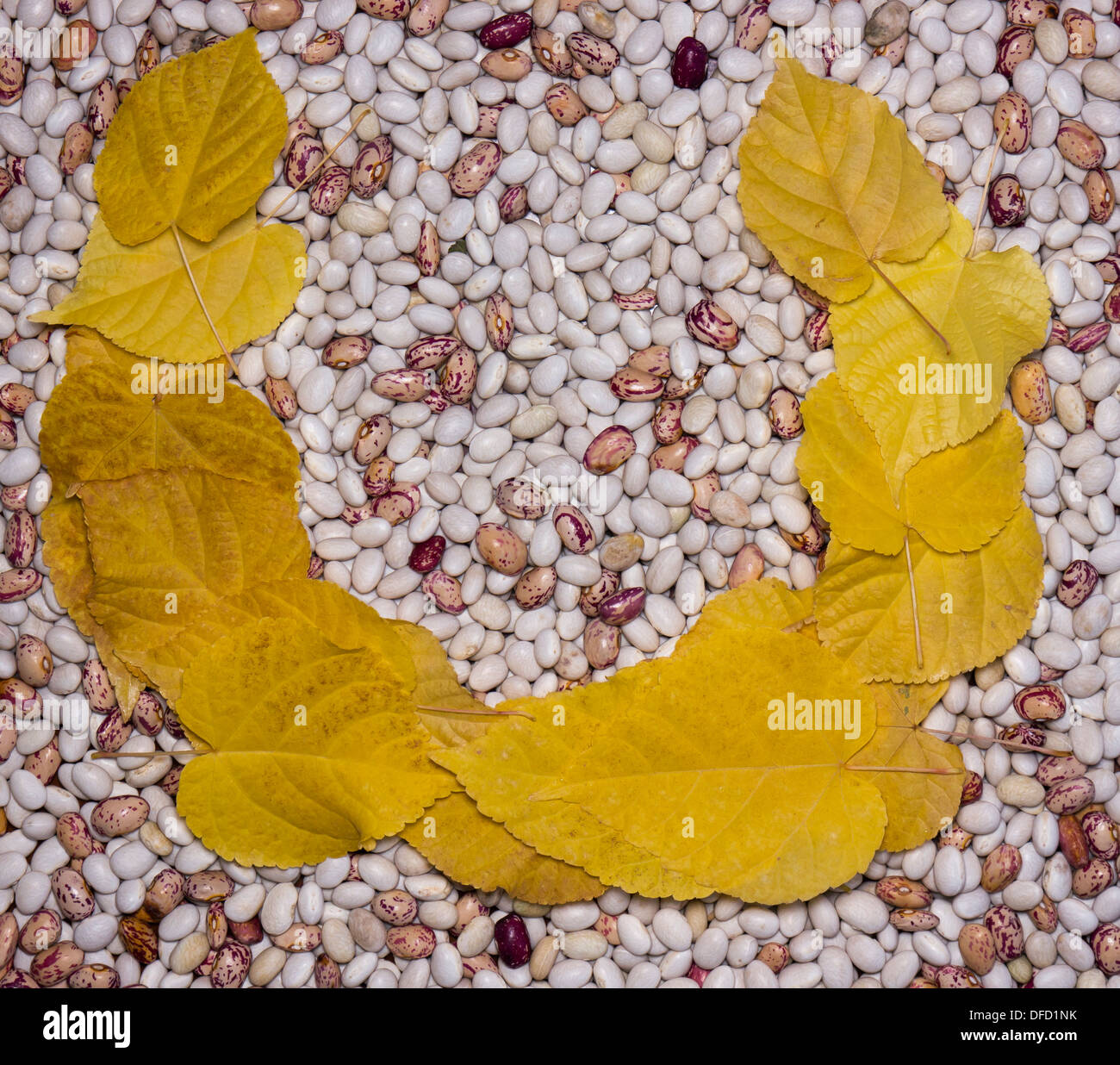 Kidney font hi-res stock photography and images - Alamy