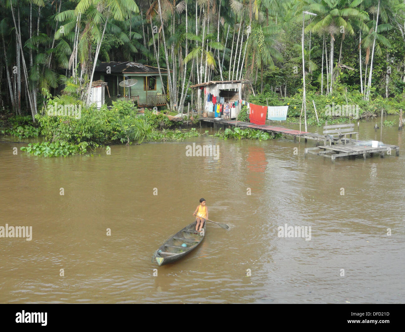 Life on the Amazon river, close to Belem, Para, Brazil Stock Photo - Alamy