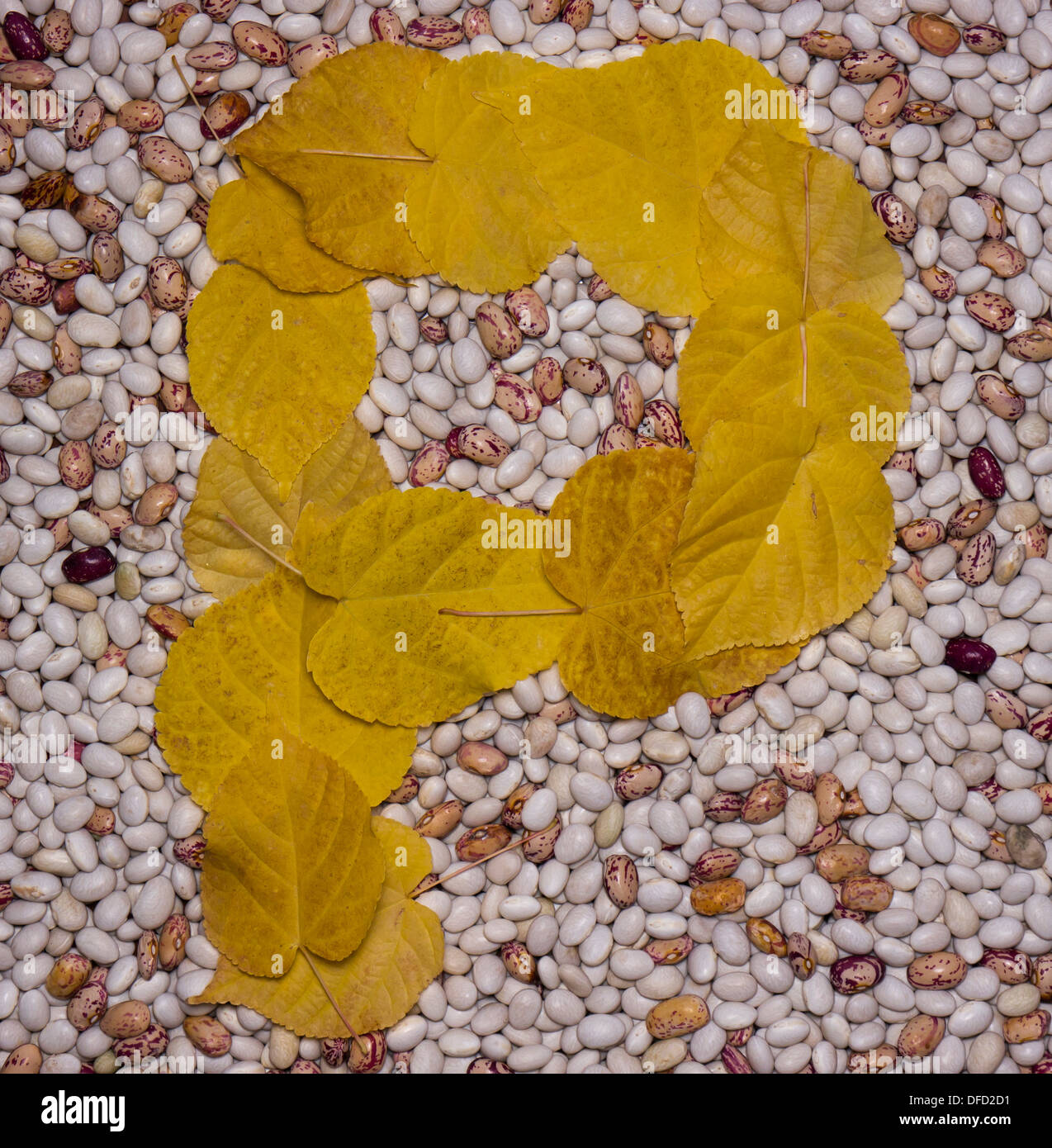 Letter P. Leaf and beans Stock Photo - Alamy