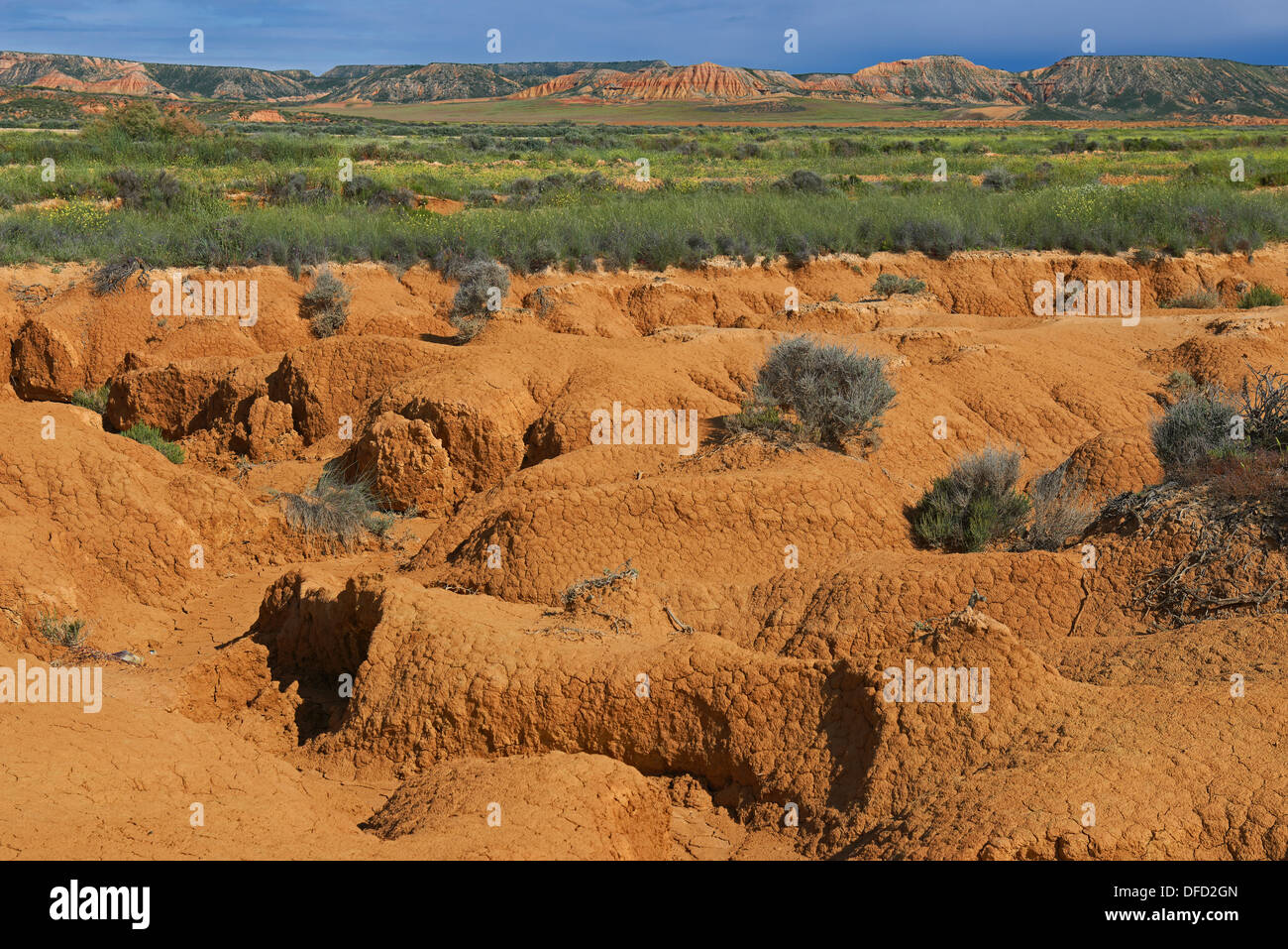 Bardenas Reales, Natural Park. Biosphere Reserve. Navarre. Spain Stock ...