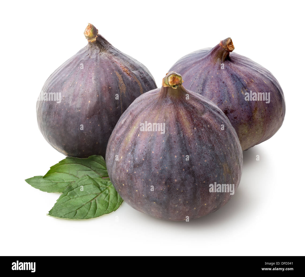 Green figs isolated leaves hi-res stock photography and images - Alamy