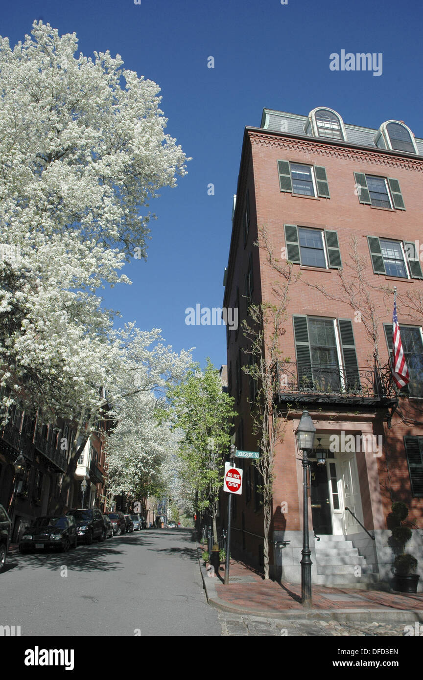 Boston in spring hi-res stock photography and images - Alamy