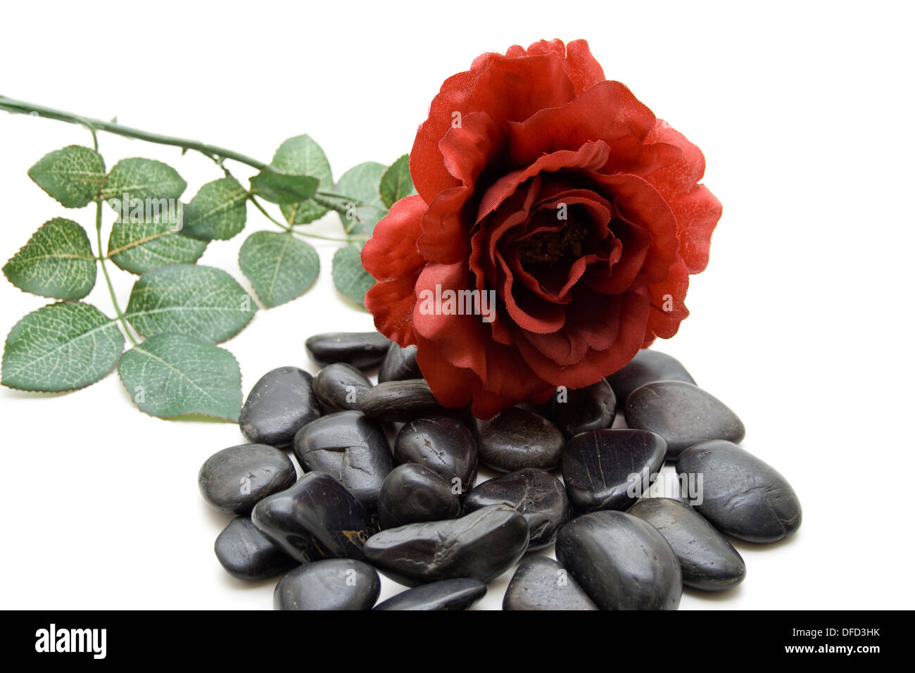 Rose with black stones Stock Photo - Alamy