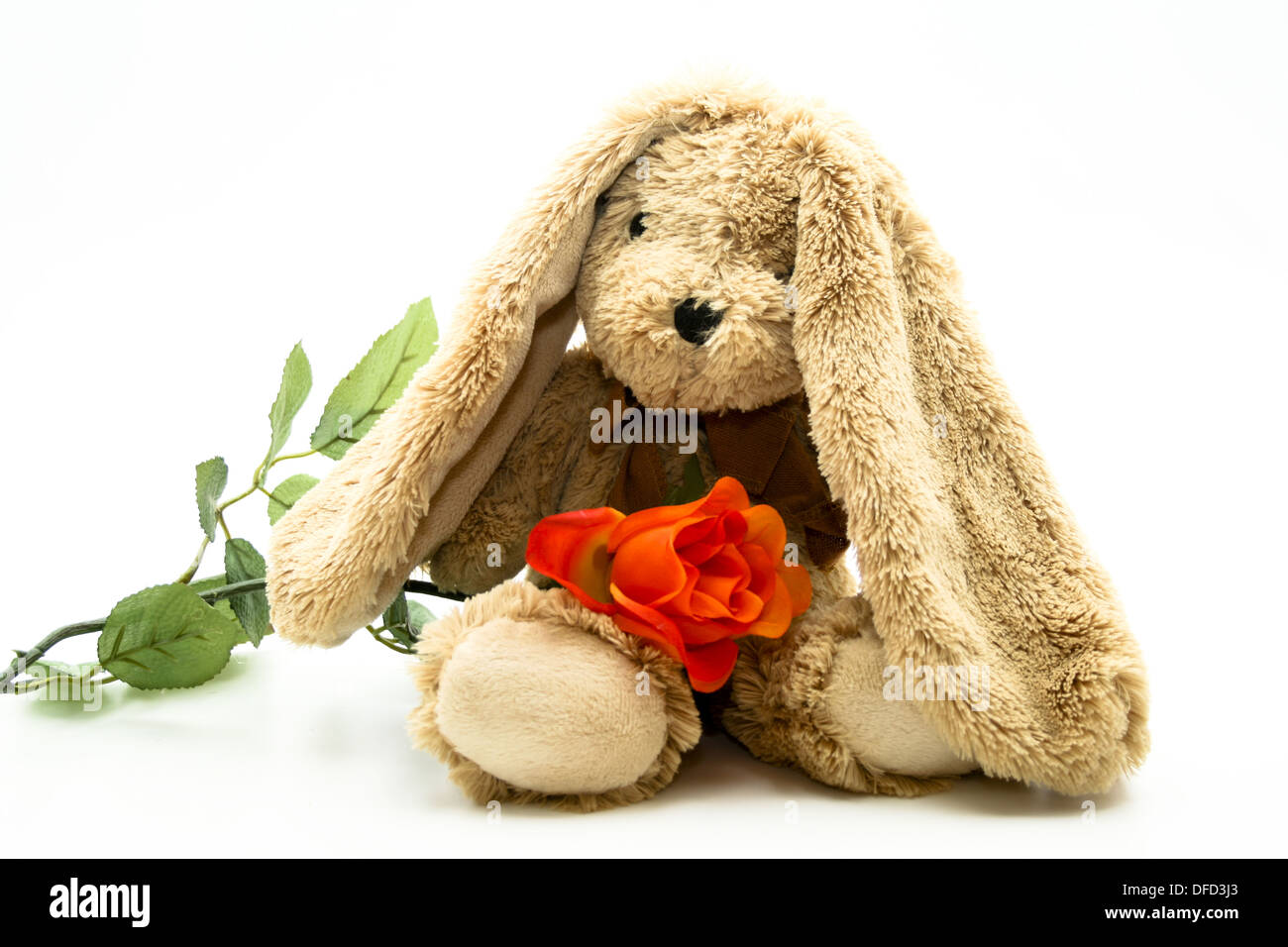 Rabbit with rose Stock Photo - Alamy
