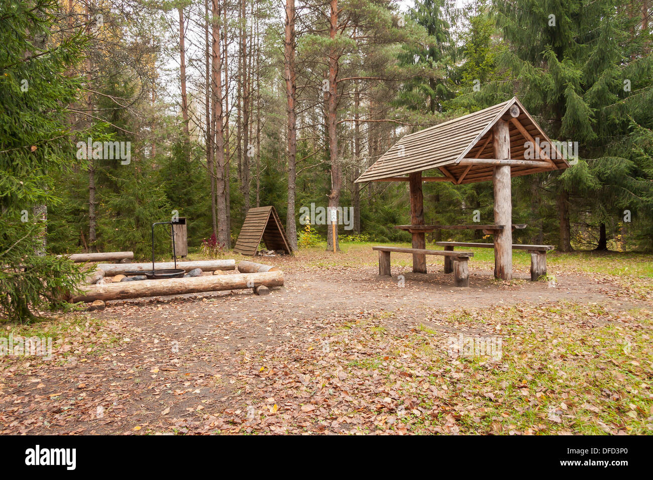 Camping area in forest in autumn Stock Photo - Alamy