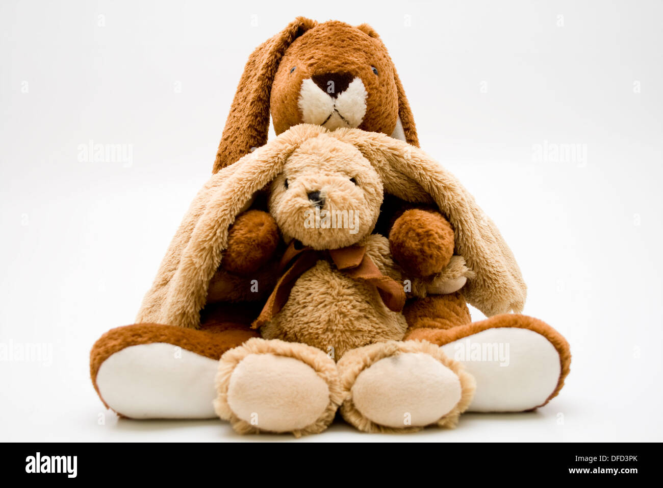 Rabbit with loop Stock Photo - Alamy