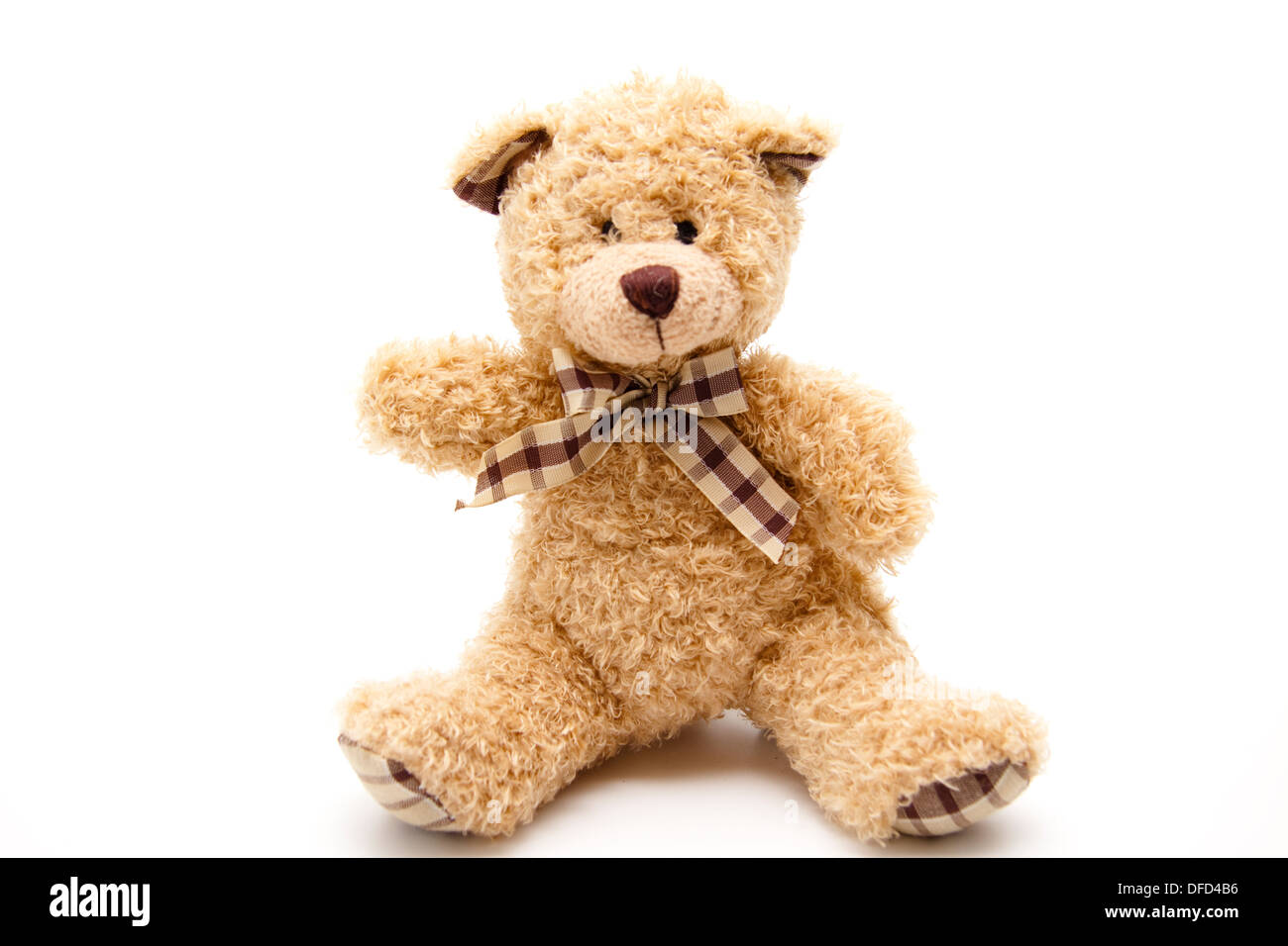 Teddy bear with loop Stock Photo - Alamy
