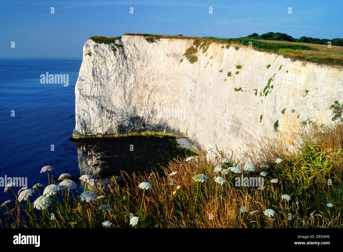 Swanage Bay Cliffs High Resolution Stock Photography and Images - Alamy