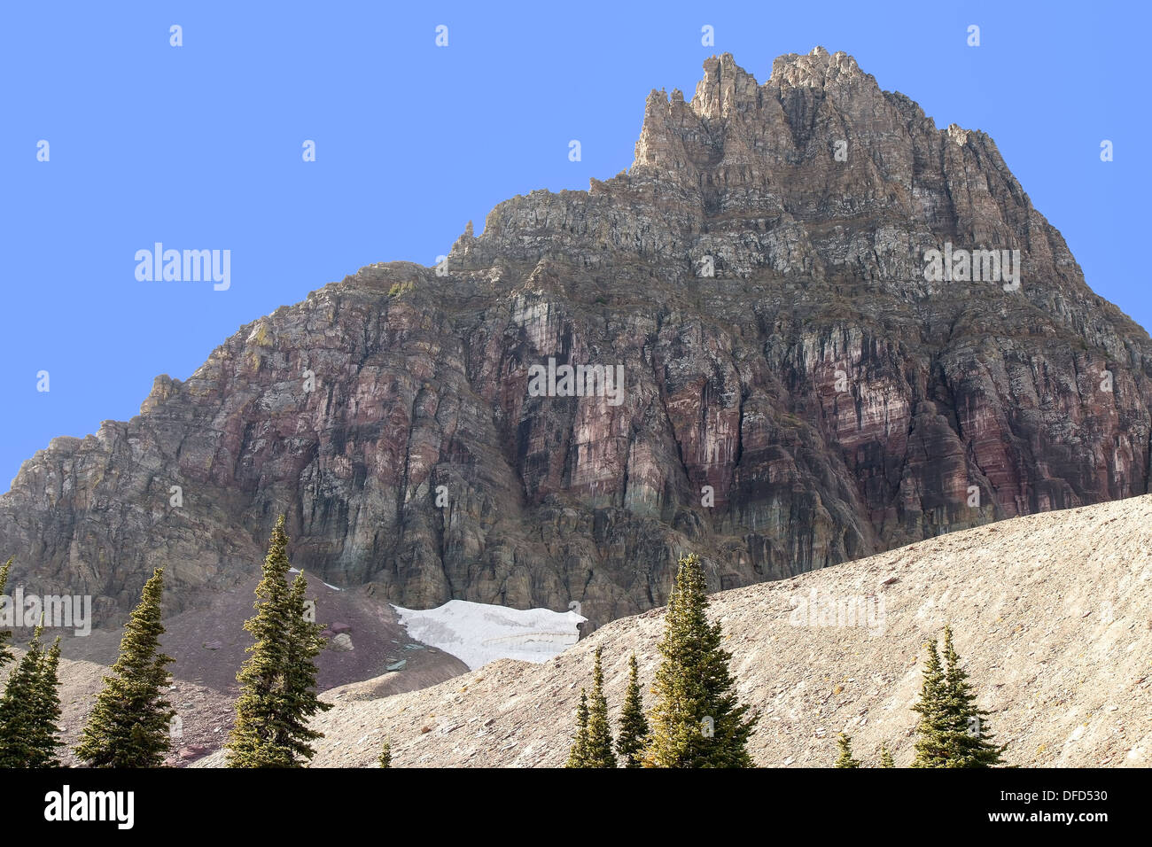 This image of Mount Reynolds at Glacier National Park shows purple rock ...