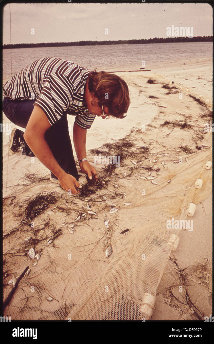 A biologist from the EPA Gulf Breeze Laboratory conducts field research ...