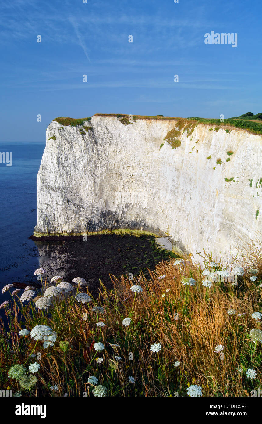 UK, Dorset, Swanage, Parsons Barn & Swanage Bay viewed from South West ...