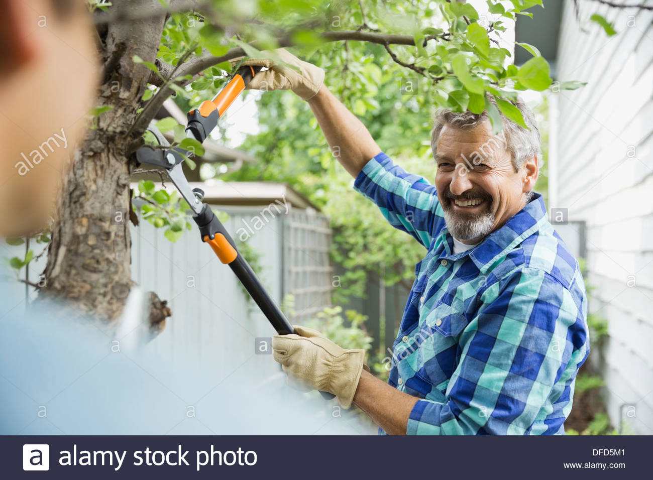 Person cutting back tree hi-res stock photography and images - Alamy