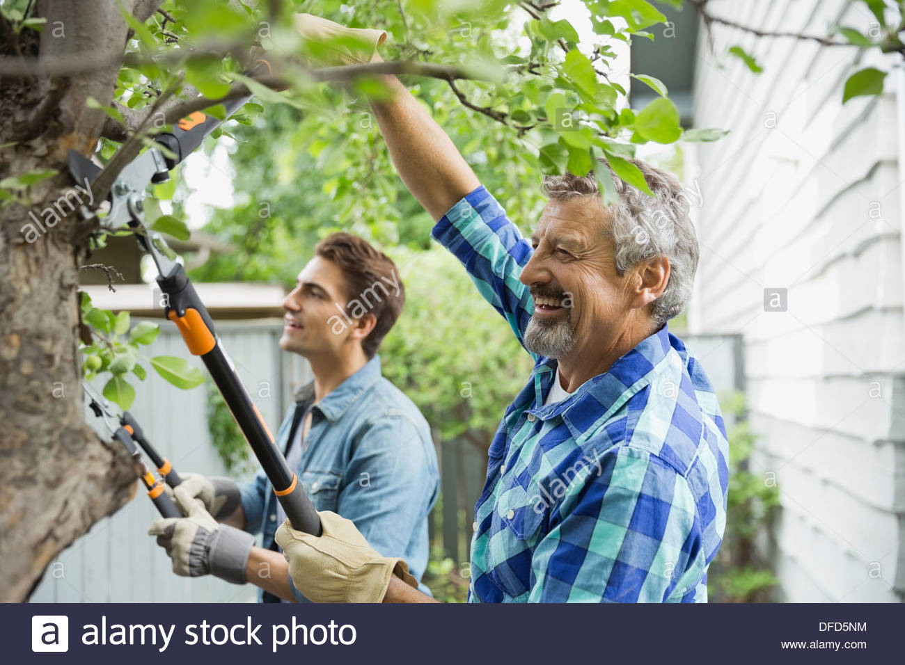 Father son tree candid hi-res stock photography and images - Alamy